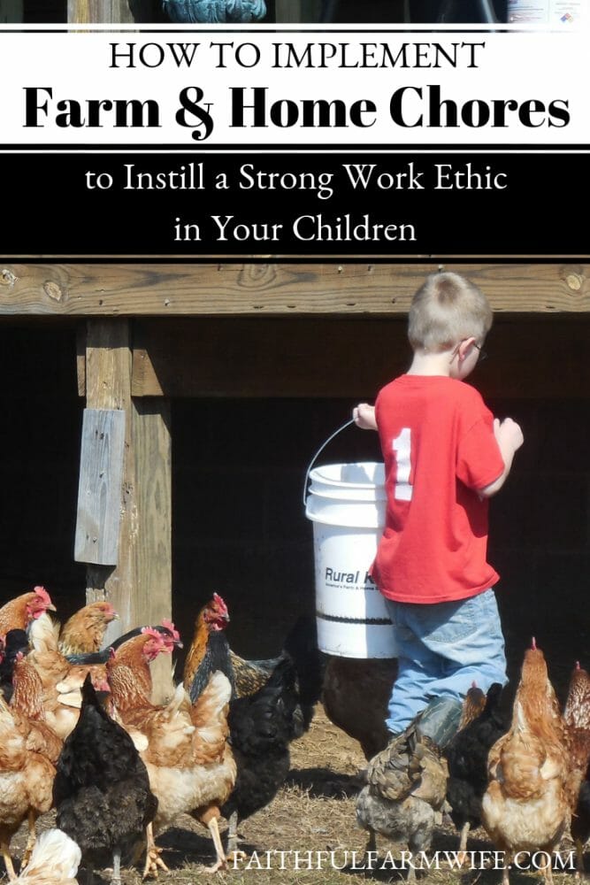 9 Simple Tips for Implementing Farm Chores for Kids | Mama on the Homestead