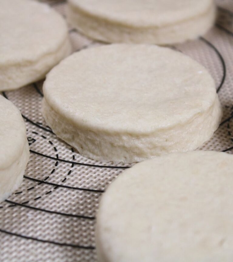 The Best Fluffy Homemade Biscuit Recipe - Mama on the Homestead