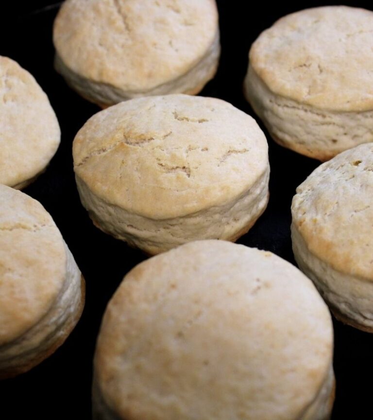 The Best Fluffy Homemade Biscuit Recipe - Mama on the Homestead