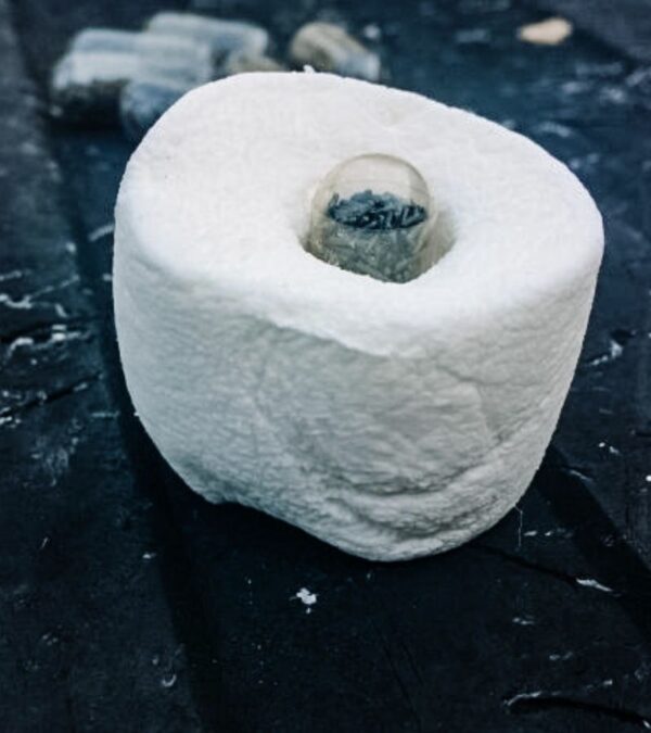 What You Need to Know About Giving Copper Bolus - Mama on the Homestead