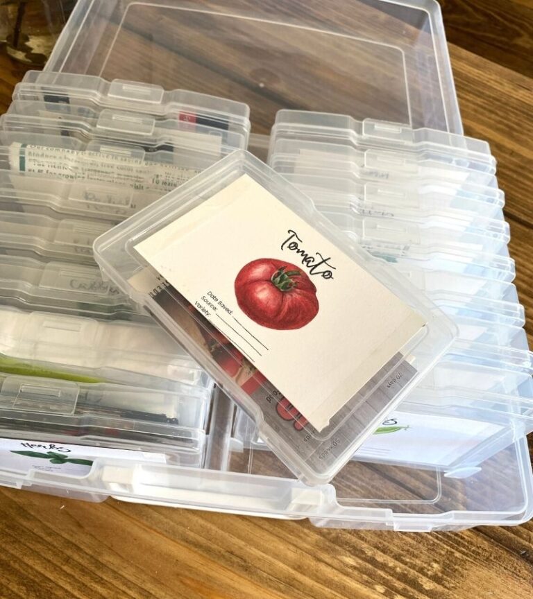 31 FREE Garden Seed Pack Labels - Mama on the Homestead