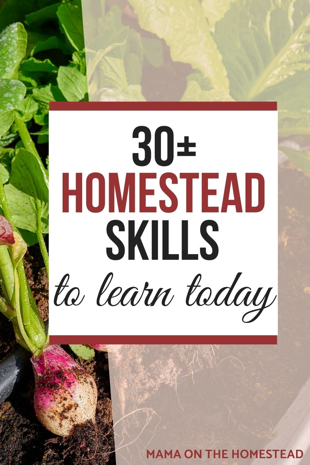 30+ Basic Homestead Skills You Need to Learn - Mama on the Homestead