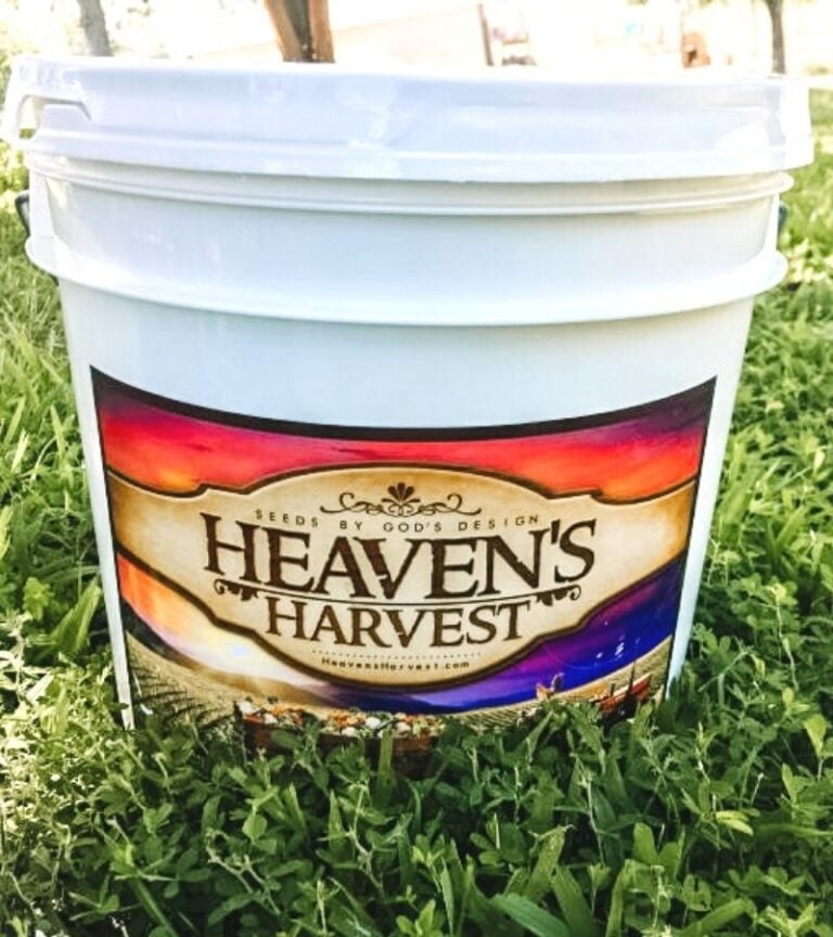 Saving Seeds for a DIY Seed Bank - Mama on the Homestead