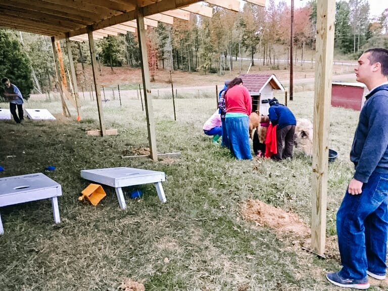 22 of the Best Fall Farm Fest Activities, Food, & Decorations - Mama on ...