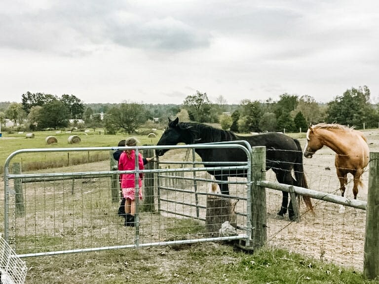 22 of the Best Fall Farm Fest Activities, Food, & Decorations - Mama on ...