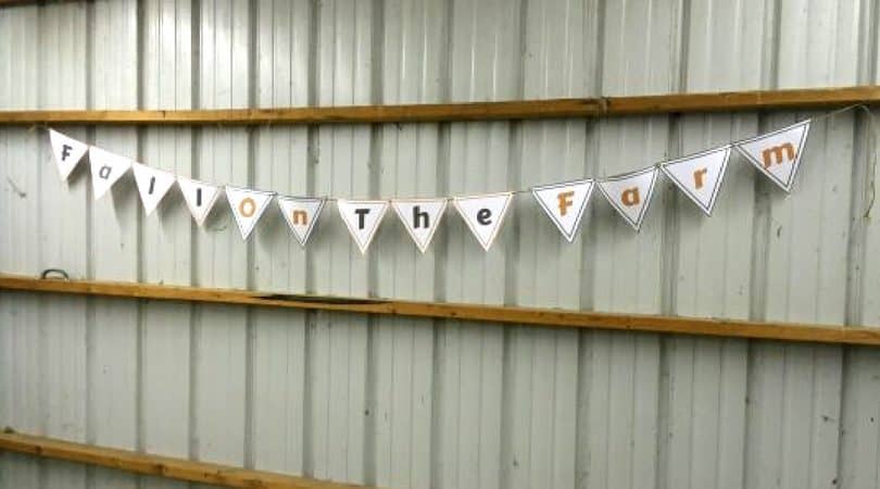 22 of the Best Fall Farm Fest Activities, Food, & Decorations - Mama on ...