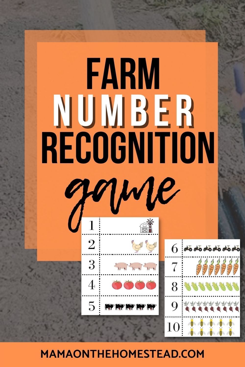 29 of the Best Right-Brain Homeschool Math Resources | Mama on the ...