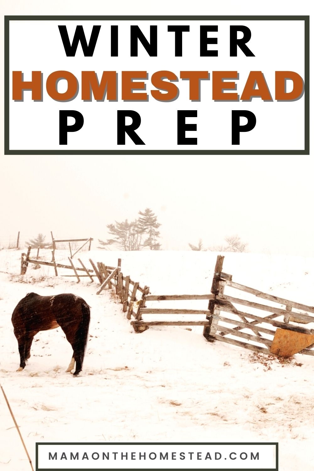 20+ Winter Homestead Essentials You Need to Stock - Mama on the Homestead