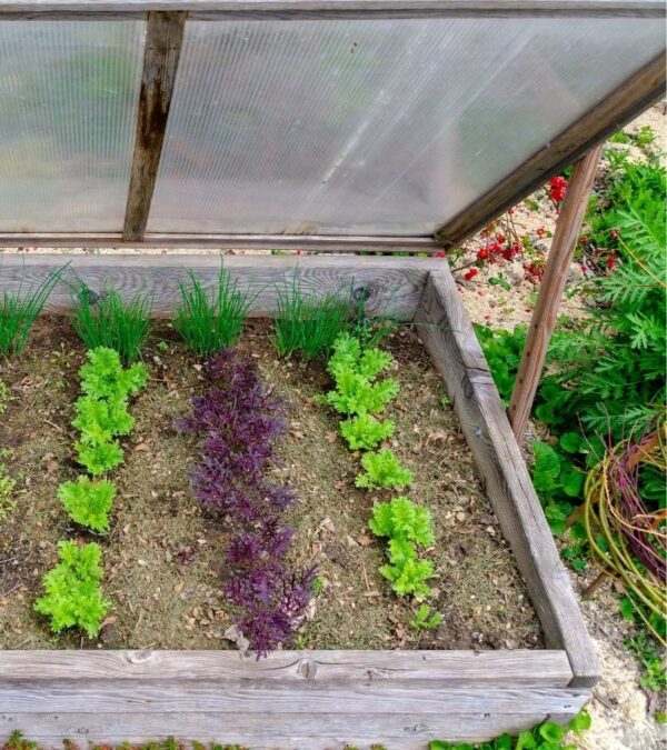 20+ Winter Homestead Essentials You Need to Stock - Mama on the Homestead