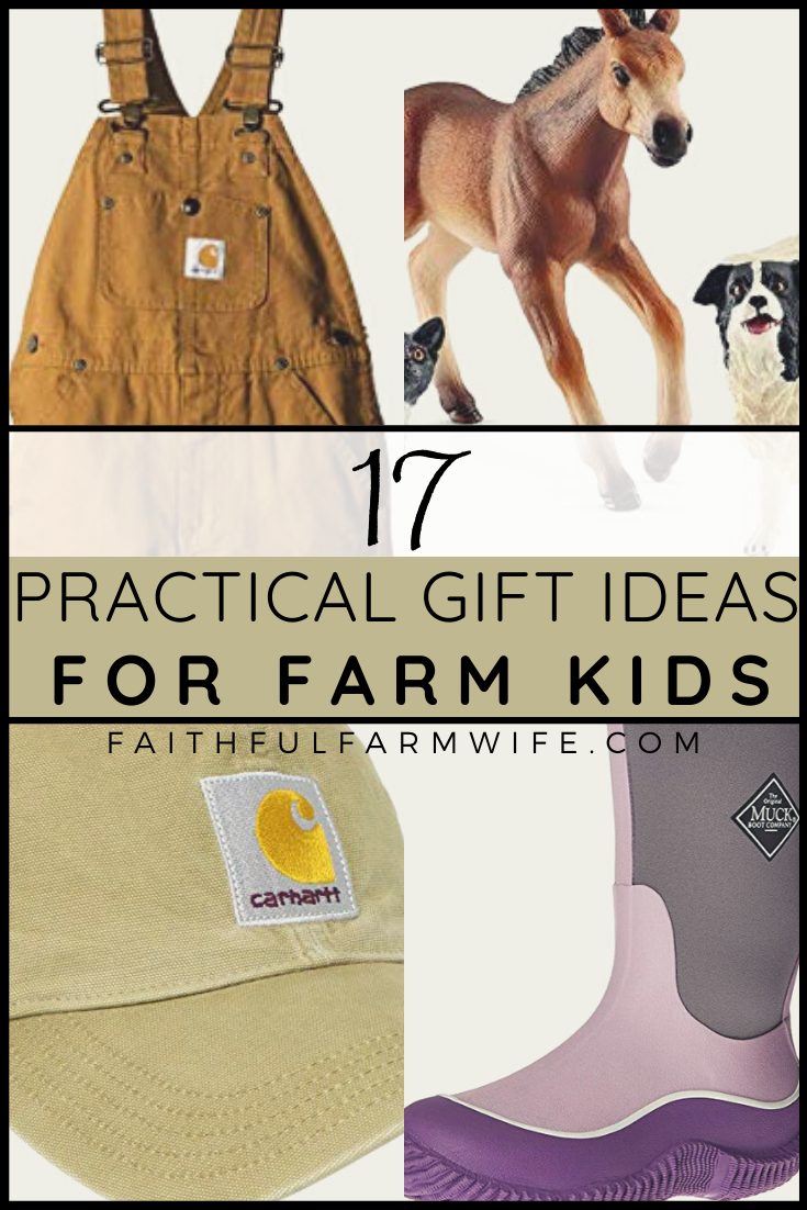 55+ Gifts for Homestead Kids: Farm Kid Gift Guide - Mama on the Homestead