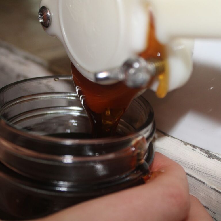 How to Extract Honey from Backyard Beehives - Mama on the Homestead