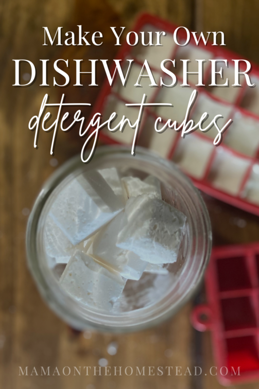 How to Make Homemade Dishwasher Detergent Cubes - Mama on the Homestead