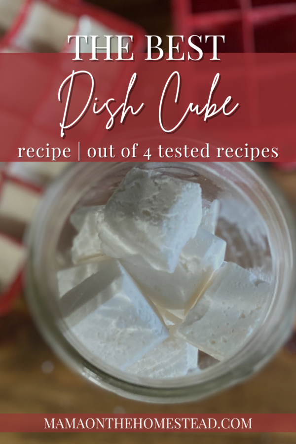 How to Make Homemade Dishwasher Detergent Cubes - Mama on the Homestead