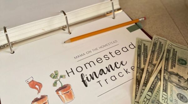 13 of the Best Farm Finance Tracking Tools - Mama on the Homestead