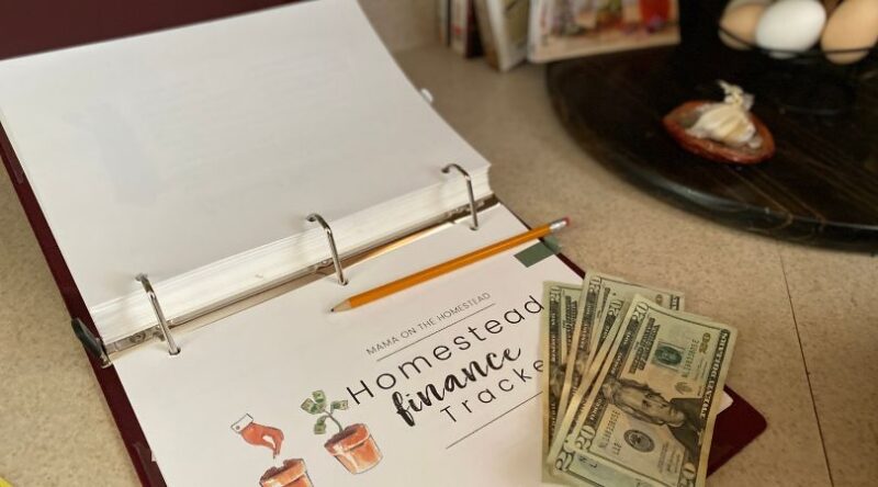 13 of the Best Farm Finance Tracking Tools - Mama on the Homestead