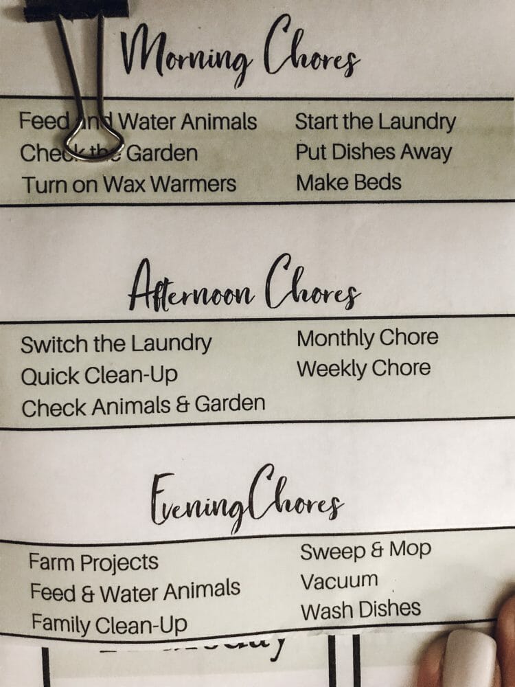 How to Create an Efficient Household Cleaning Routine - Mama on the ...