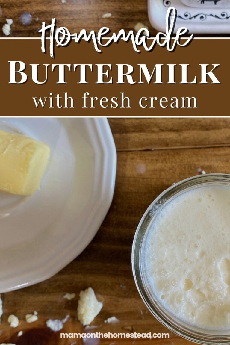How to Make Traditional Homemade Buttermilk - Mama on the Homestead