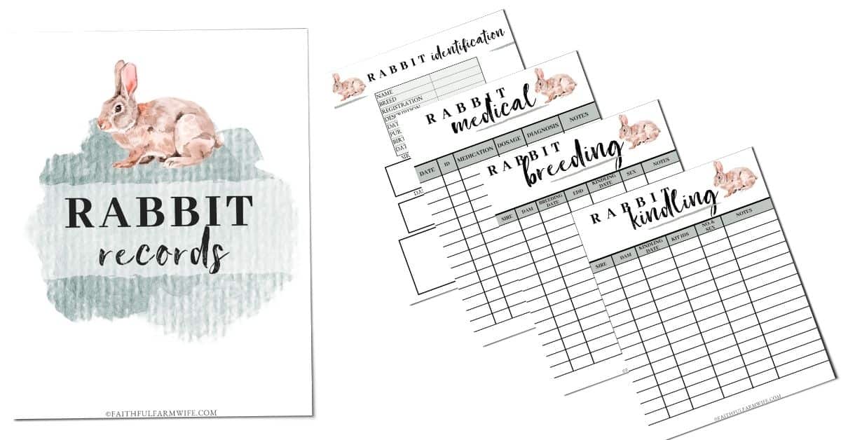 The Rabbit Record Book: PDF | Mama on the Homestead