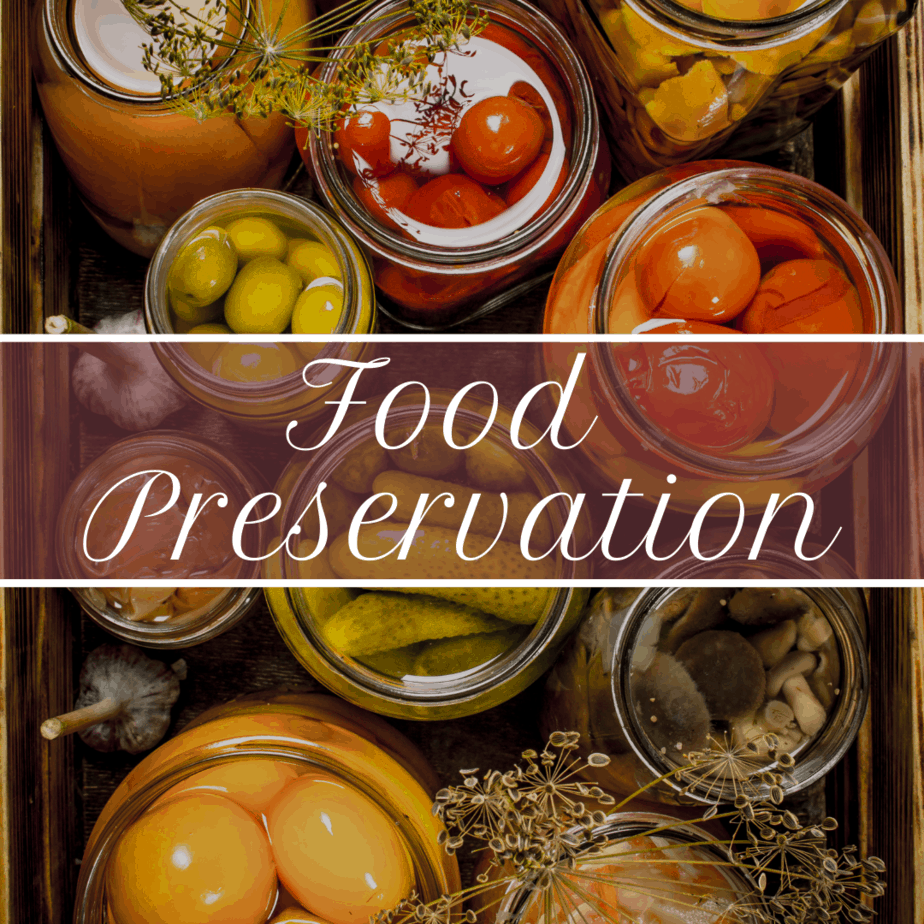 The Homestead Supply Shop - Mama on the Homestead