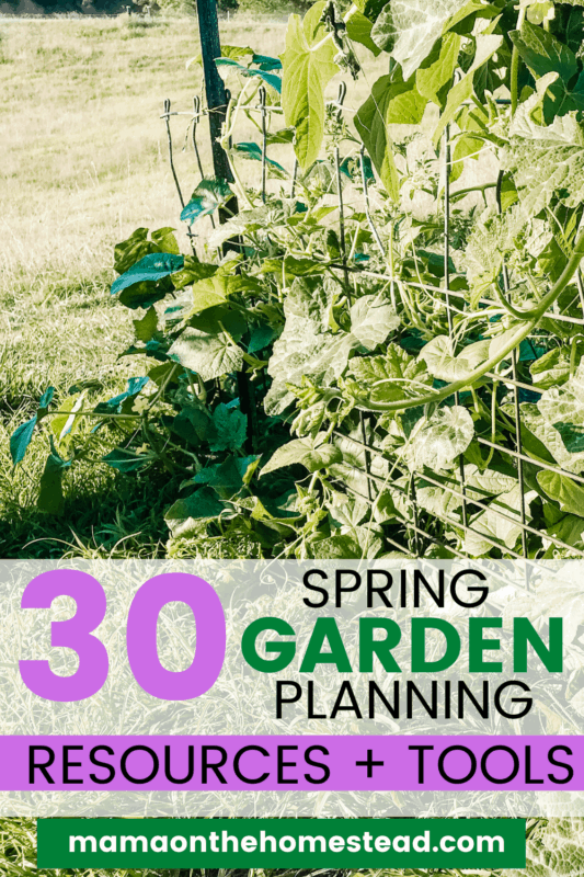 36 of the Best Spring Garden Planning Resources for a Productive Garden ...