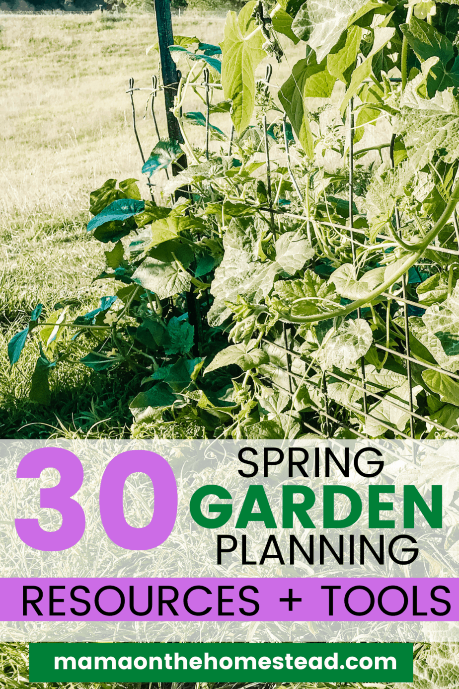 36 of the Best Spring Garden Planning Resources for a Productive Garden ...