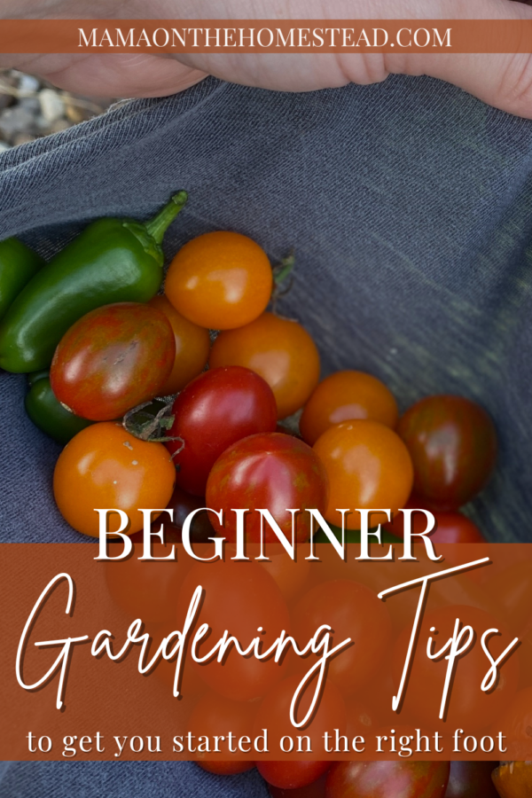 20+ Helpful Beginner Gardening Tips & Resources - Mama on the Homestead