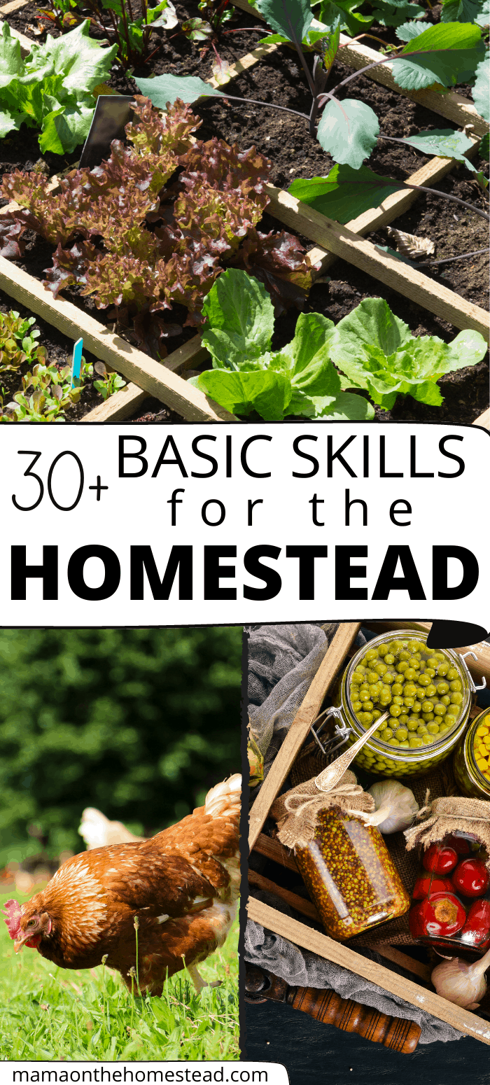 30+ Basic Homestead Skills You Need to Learn - Mama on the Homestead