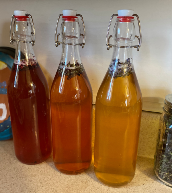 30+ Basic Homestead Skills You Need to Learn - Mama on the Homestead