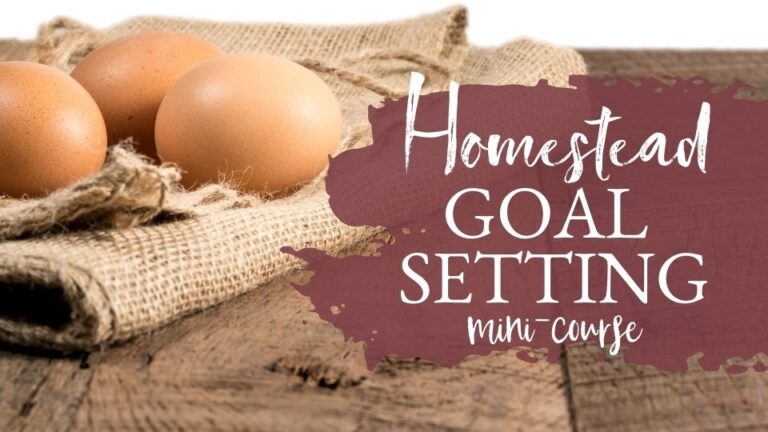 40 of the Best Homesteading Resources - Mama on the Homestead