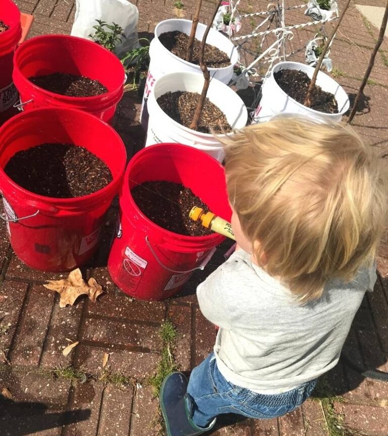 90 Practical Homesteading Essentials You Need for Self-Sufficiency ...