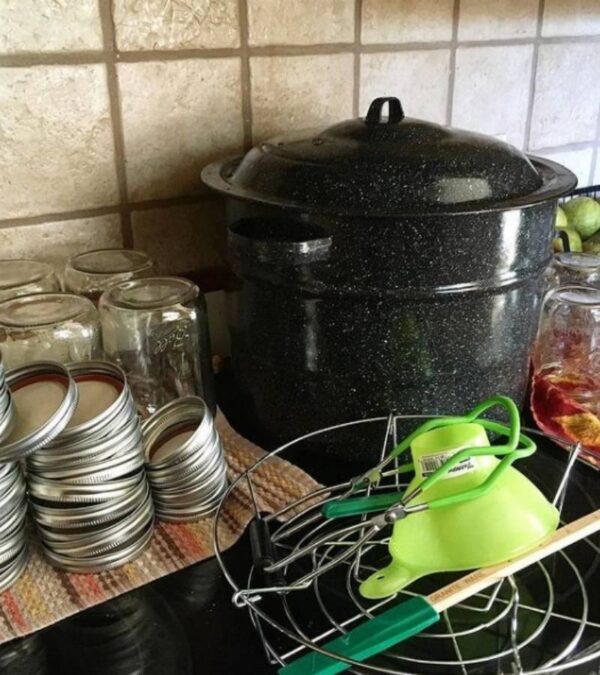 90 Practical Homesteading Essentials You Need for Self-Sufficiency ...