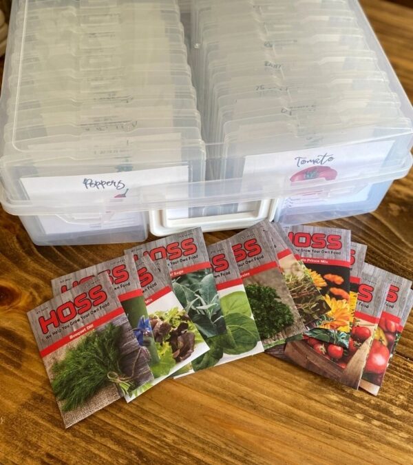 Saving Seeds for a DIY Seed Bank - Mama on the Homestead