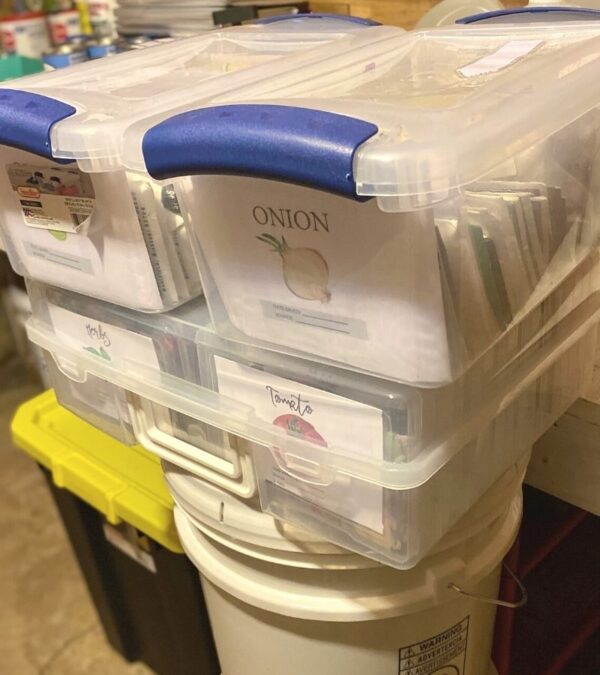 Saving Seeds for a DIY Seed Bank - Mama on the Homestead