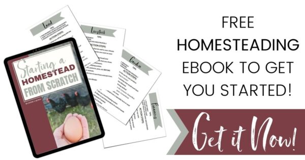 40 of the Best Homesteading Resources - Mama on the Homestead