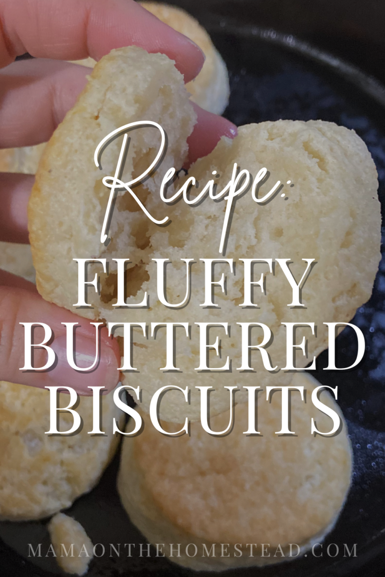 Homemade Fluffy Buttered Biscuit Recipe - Mama on the Homestead