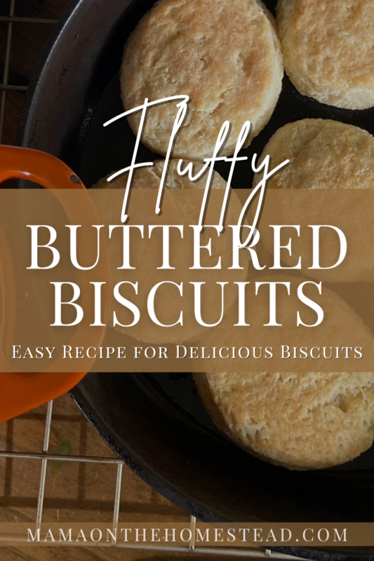 Homemade Fluffy Buttered Biscuit Recipe - Mama on the Homestead