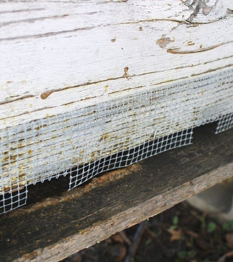 DIY Beehive Entrance Reducer & Mouse Guard - Mama on the Homestead