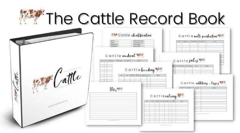 The Livestock Management Binder - Mama on the Homestead