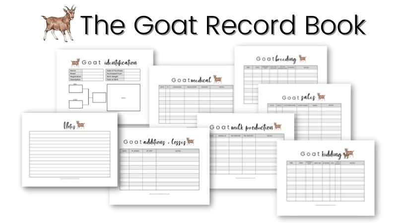 Keeping a Small Herd Goat Records - Mama on the Homestead