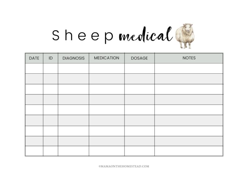 The Homestead Sheep Record Book: PDF - Mama on the Homestead