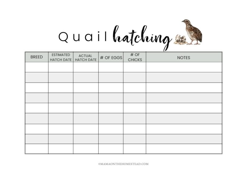 The Homestead Quail Record Book: PDF - Mama on the Homestead