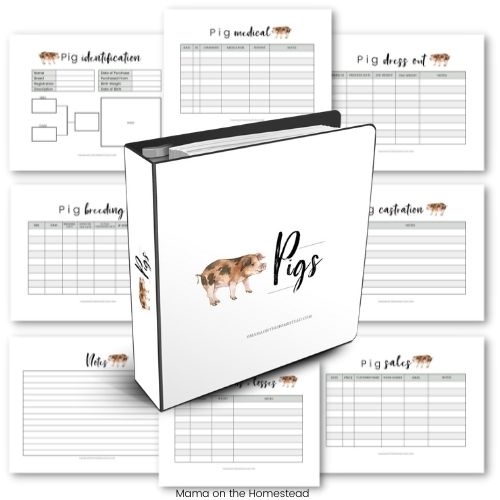 All Livestock Record Books - Mama on the Homestead