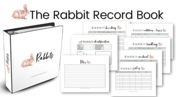 Baked Homemade Rabbit treats - Mama on the Homestead