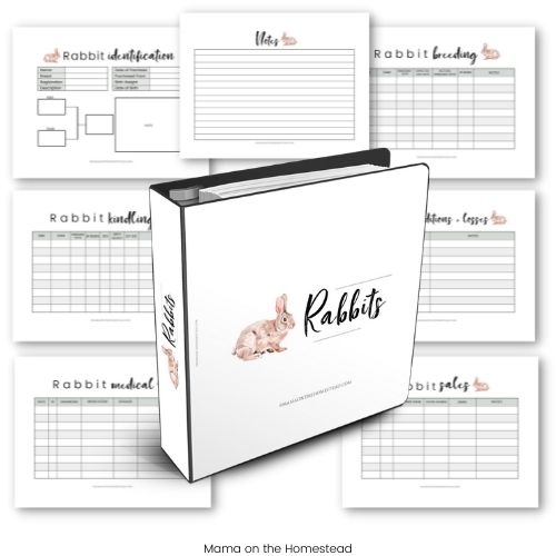 All Livestock Record Books - Mama on the Homestead