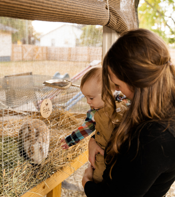 60+ Gifts for Homestead Kids: Homestead Kid Gift Guide - Mama on the ...