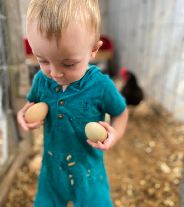 60+ Gifts for Homestead Kids: Homestead Kid Gift Guide - Mama on the ...