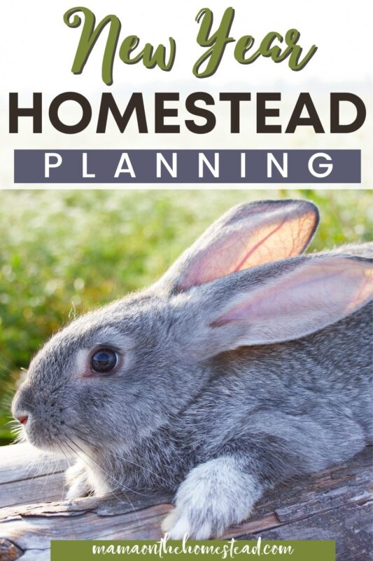 5 Steps to New Year Homestead Planning - Mama on the Homestead