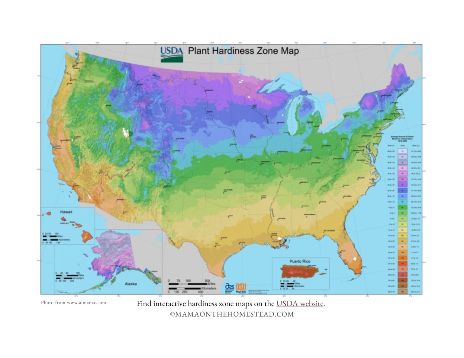 The Homestead Mama Planning Pack - Mama on the Homestead