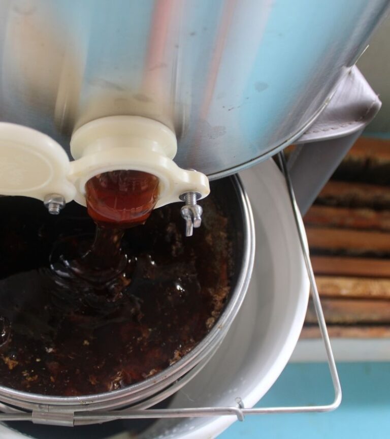 15 Essential Beekeeping Tools + Supplies - Mama on the Homestead