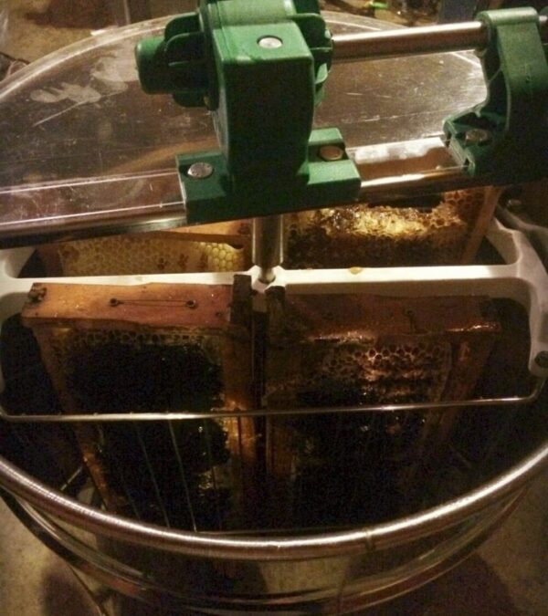 15 Essential Beekeeping Tools + Supplies - Mama on the Homestead